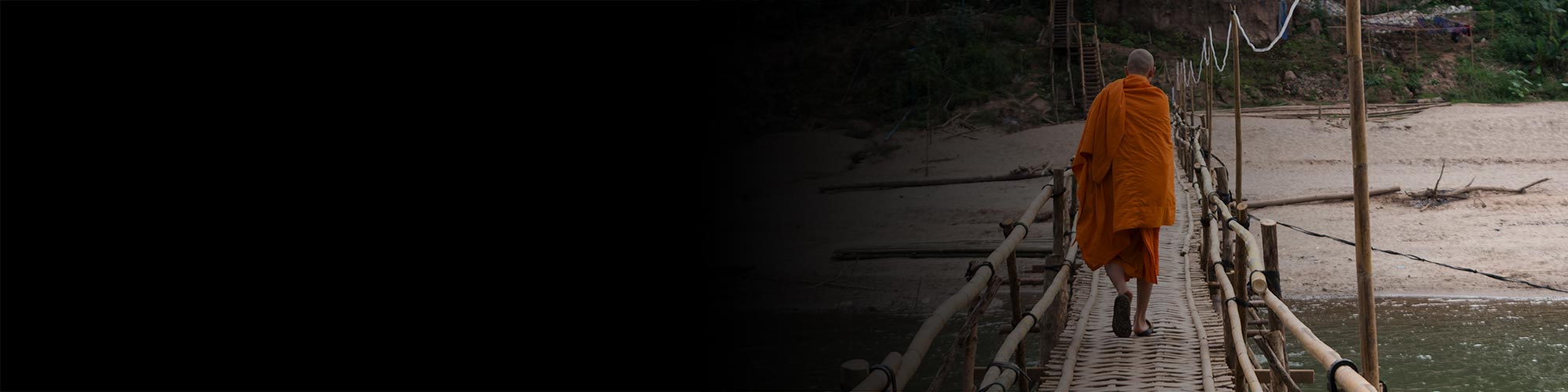 Saam Acupuncture: Draining Strategies and Bilateral Combinations