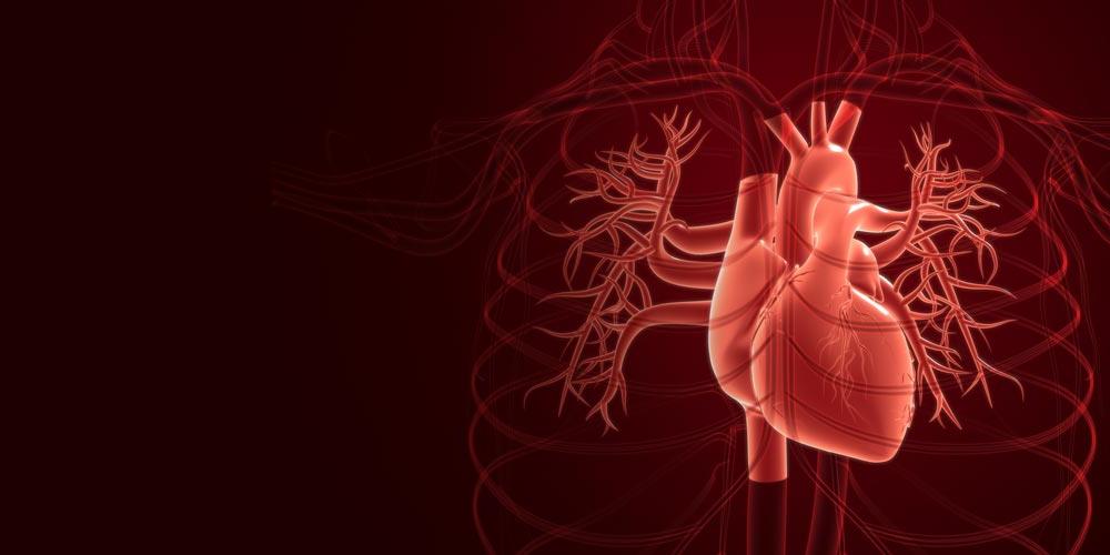 Cardiovascular Disease Series: Overview of Cardiovascular Signs ...